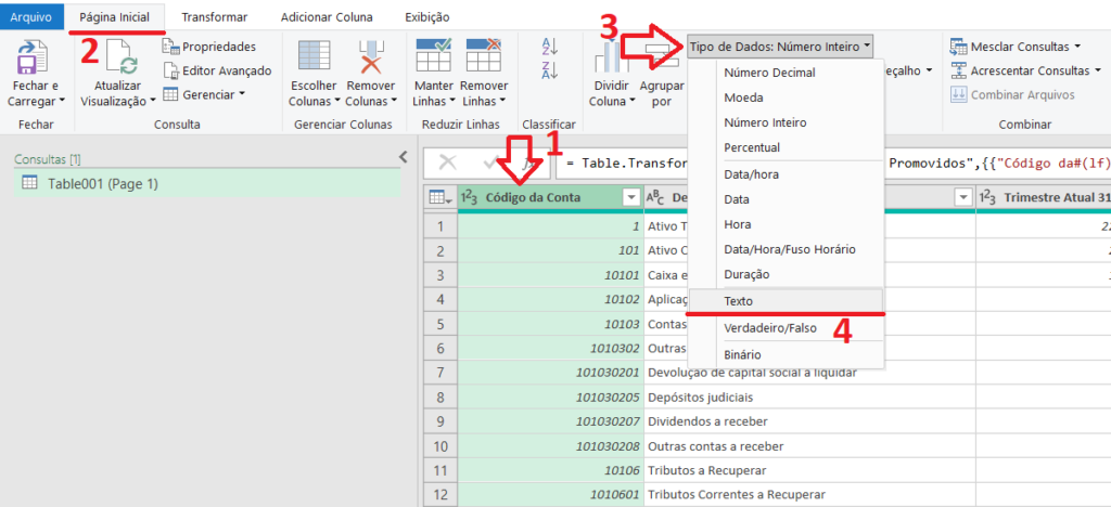 Importar e transformar dados do PDF para o Excel